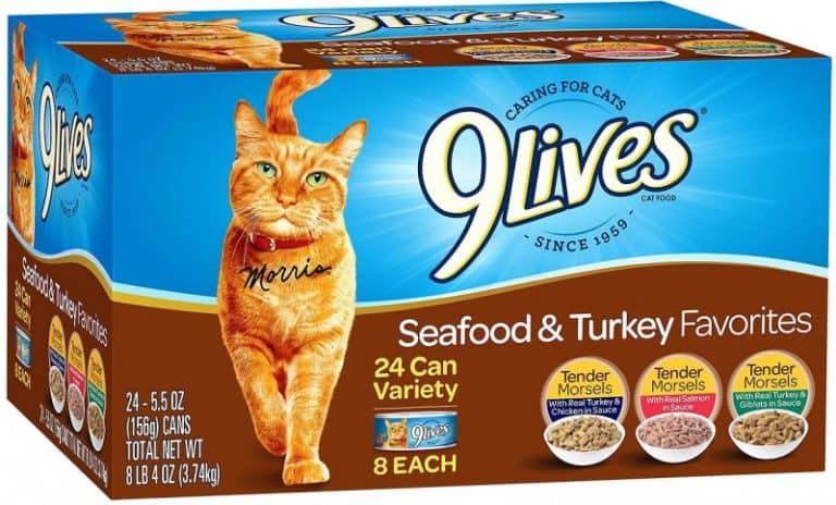 8 Best Cat Foods For Balinese Cats