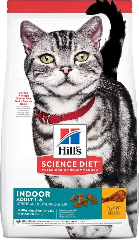 8 Best Cat Foods For Balinese Cats