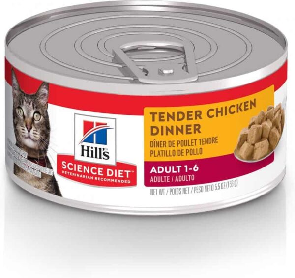 8 Best Cat Foods For Balinese Cats