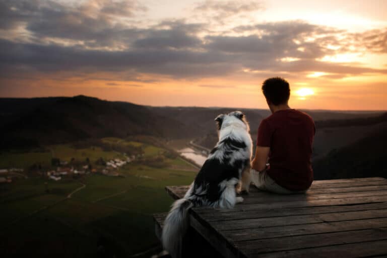 Why does my dog paw at my face?