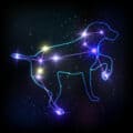 150 Awesome Astrological Names For Dogs