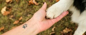 Dog Paw Tattoo Meaning