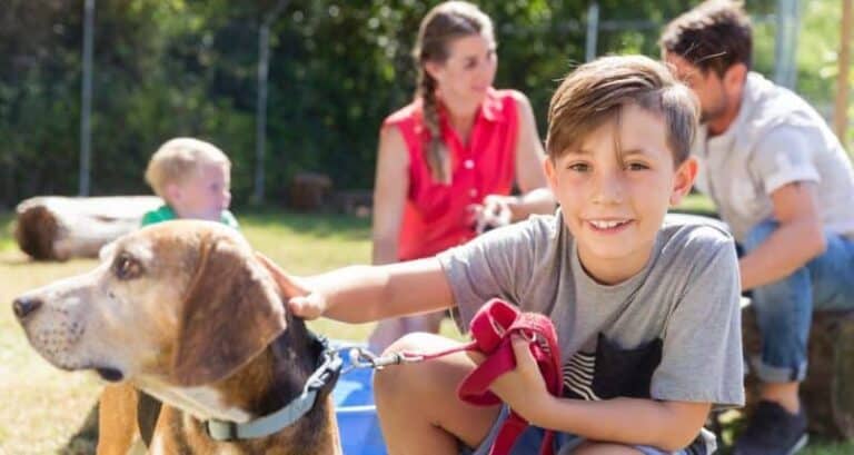 State List of Shelters and Rescue Organizations (Updated)