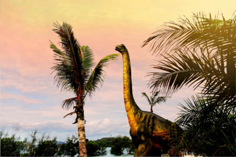 Brontosaurus Vs. Brachiosaurus - Everything You Wanted to Know