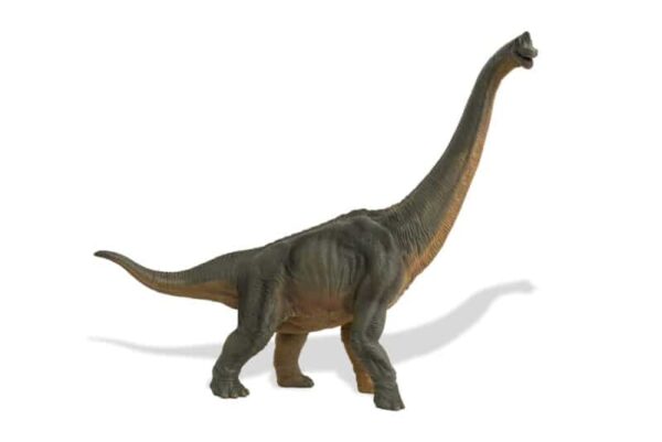 Brontosaurus Vs. Brachiosaurus - Everything You Wanted to Know