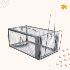 The 7 Best Humane Mouse Traps of 2023