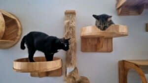 8 Modern & DIY Alternatives To Cat Trees
