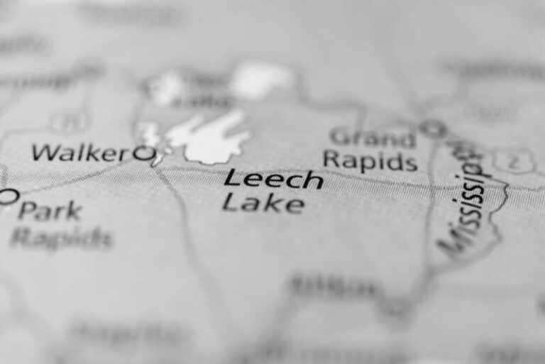 The 7 Most Leech-Infested Lakes in the US