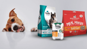 14 Best Tasting Dog Foods for Picky Eaters [ 2023 ]