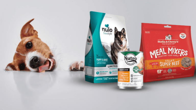 14 Best Tasting Dog Foods for Picky Eaters [ 2023 ]