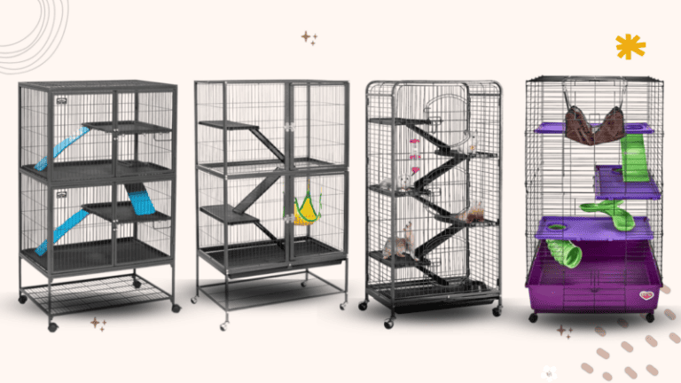 The 7 Best Ferret Cages