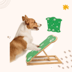 The 8 Best Dog Scratch Boards for Nails