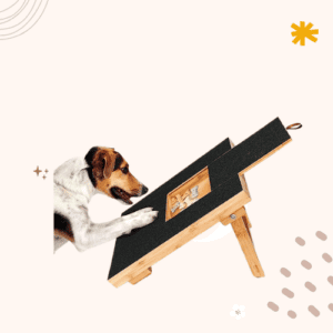 The 8 Best Dog Scratch Boards for Nails