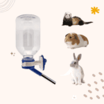 Rabbit Checklist - 13 Things Every Rabbit Owner Should Have