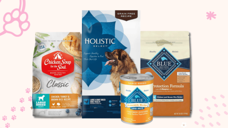 The 13 Best Dog Foods for Saint Bernards in 2023