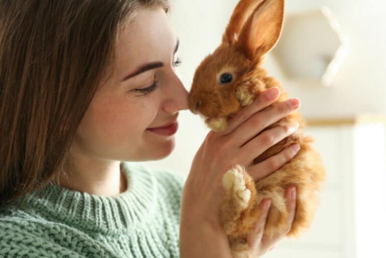 Rabbit Checklist - 13 Things Every Rabbit Owner Should Have